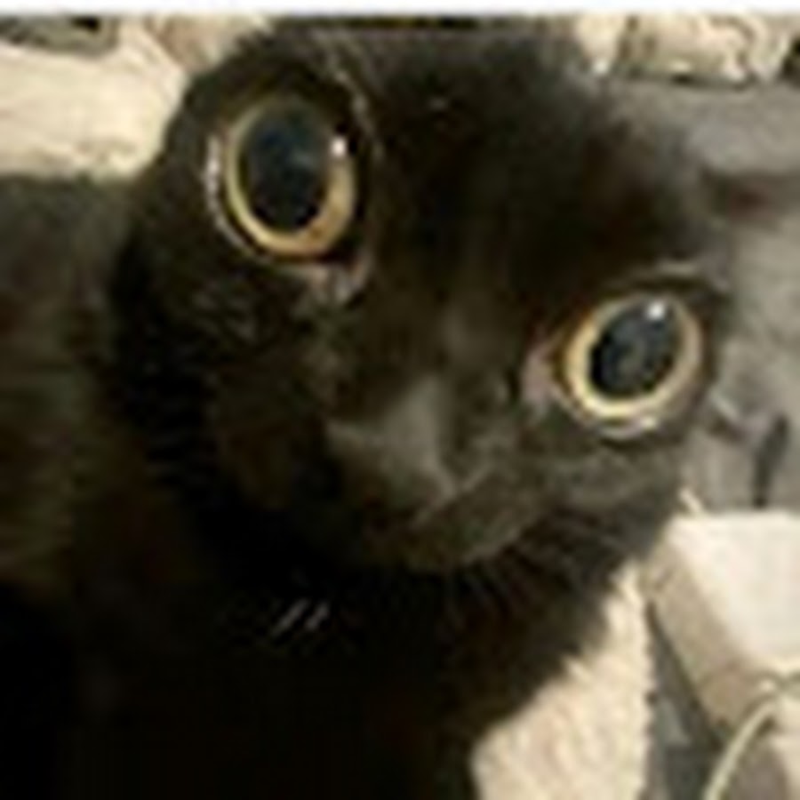 EMMA ROBLOX - YouTube