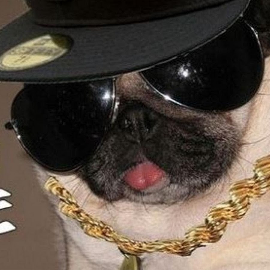 Mr_Pug - YouTube