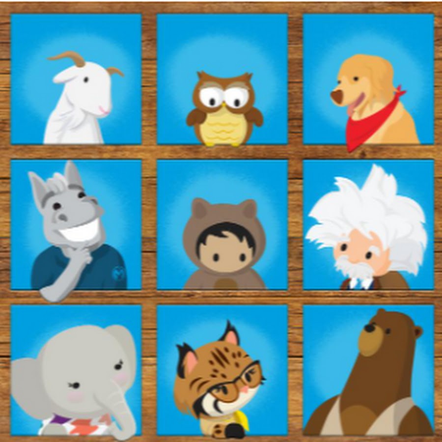 The Salesforce Tutorial Youtube
