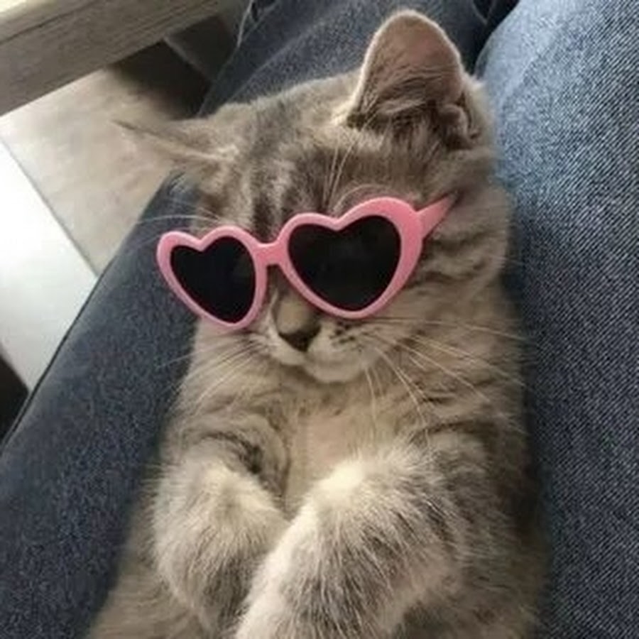 Артём Cool Meow :3 - YouTube