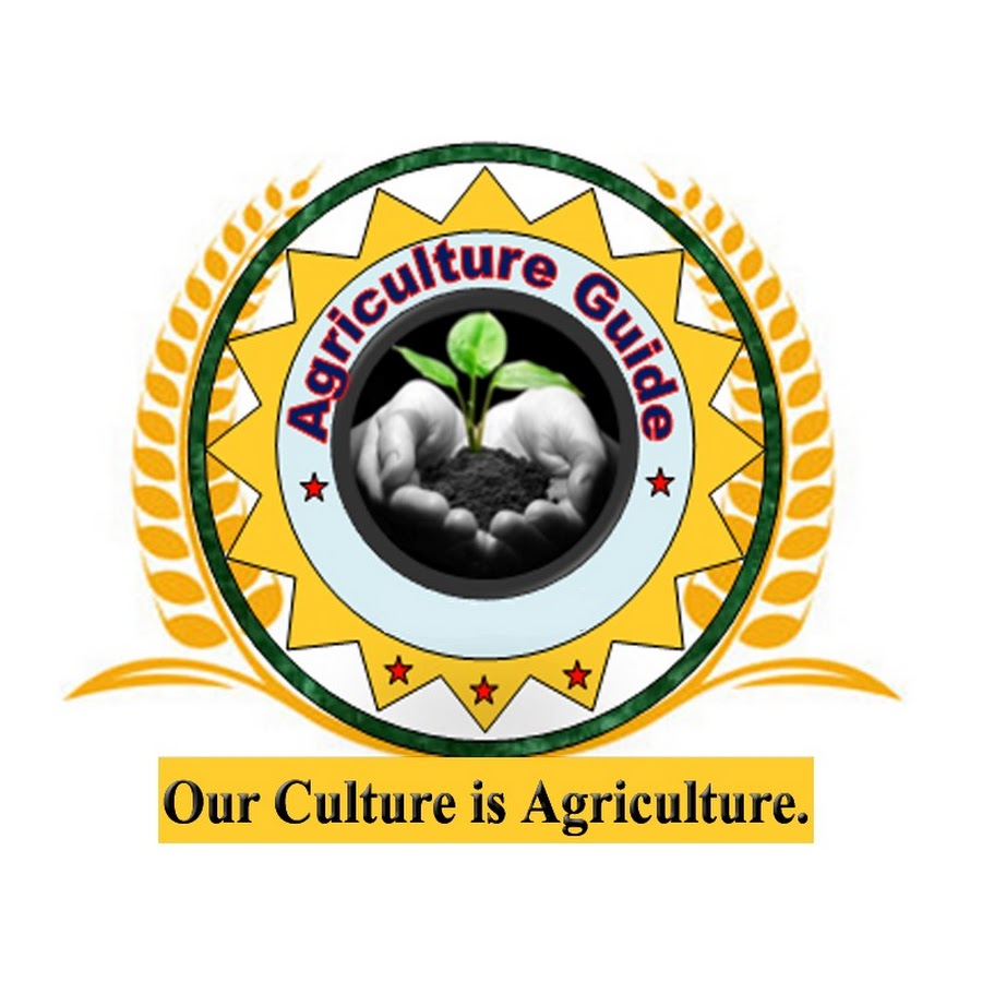 Agriculture Guide - YouTube