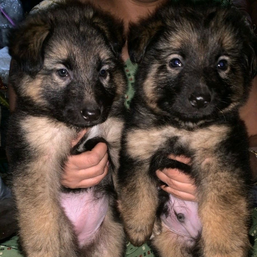 Brono Anny - YouTube