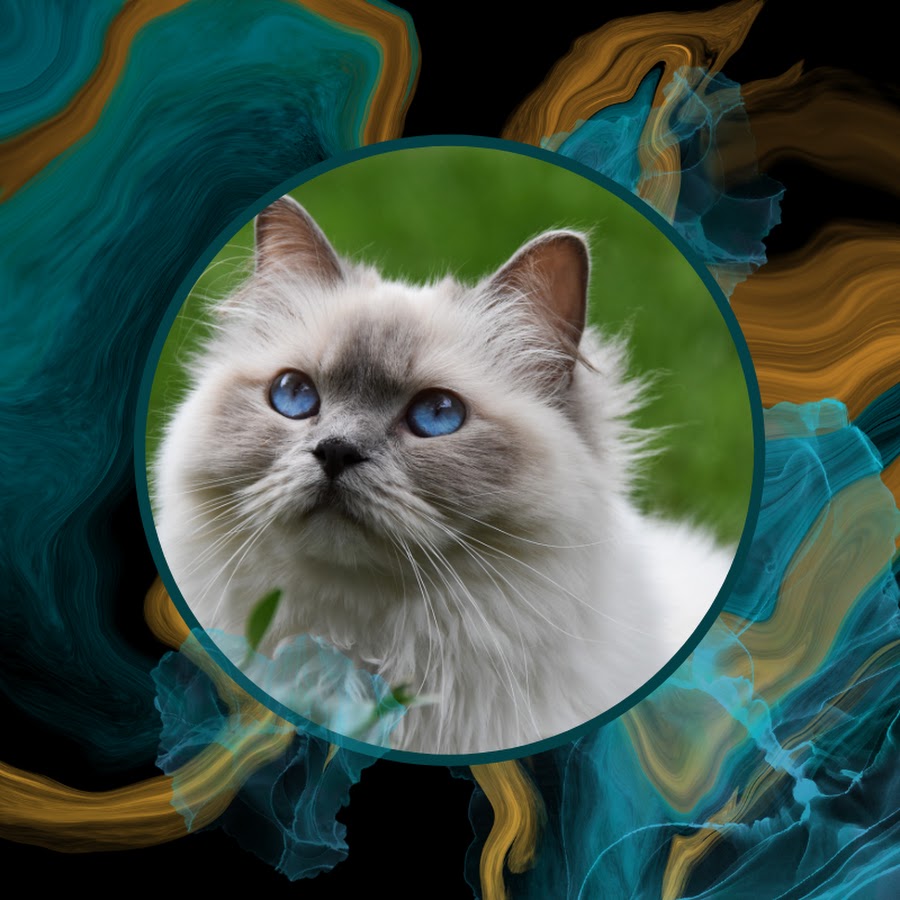 AI Meow Magic - YouTube