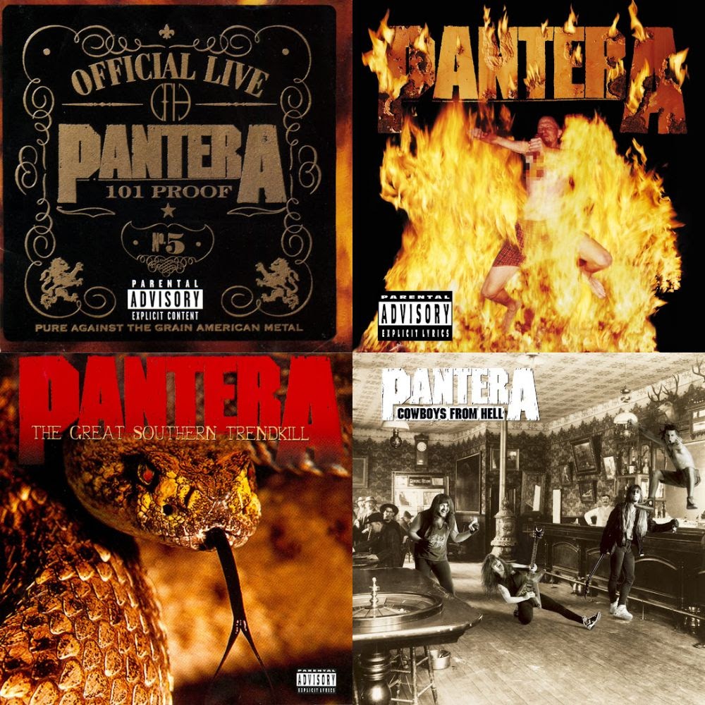 Pantera Cover