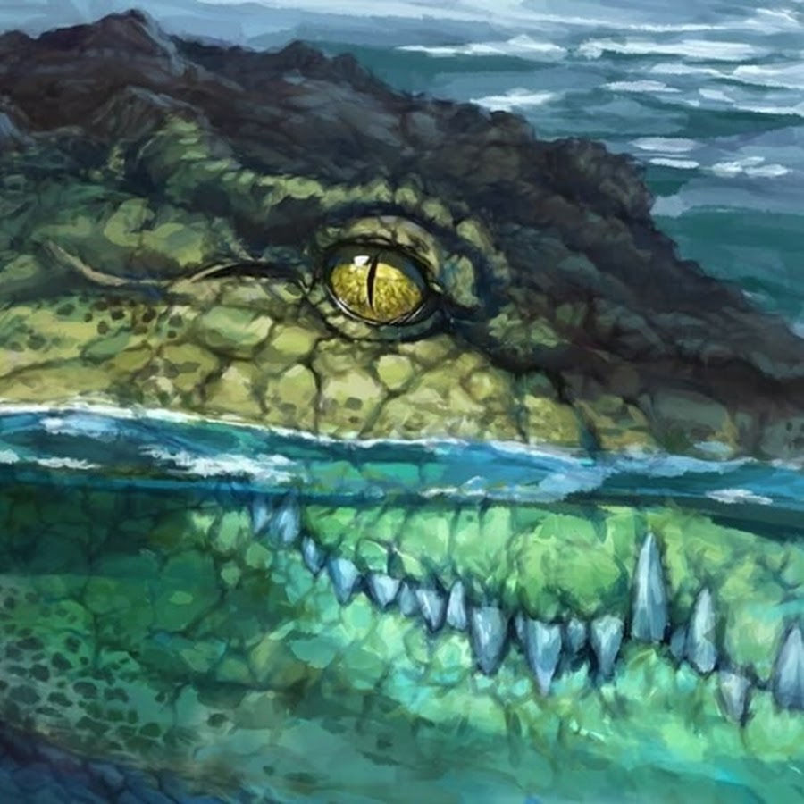 Animal Guy - YouTube