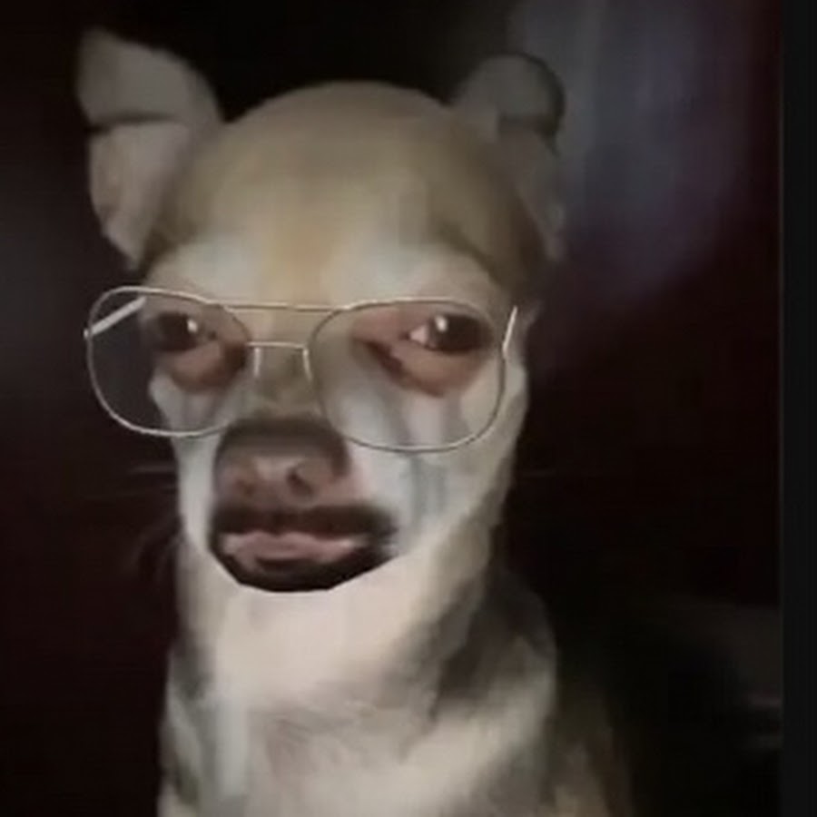 Random Memes I Find Scrolling - YouTube Random Memes I Find Scrolling - YouTube