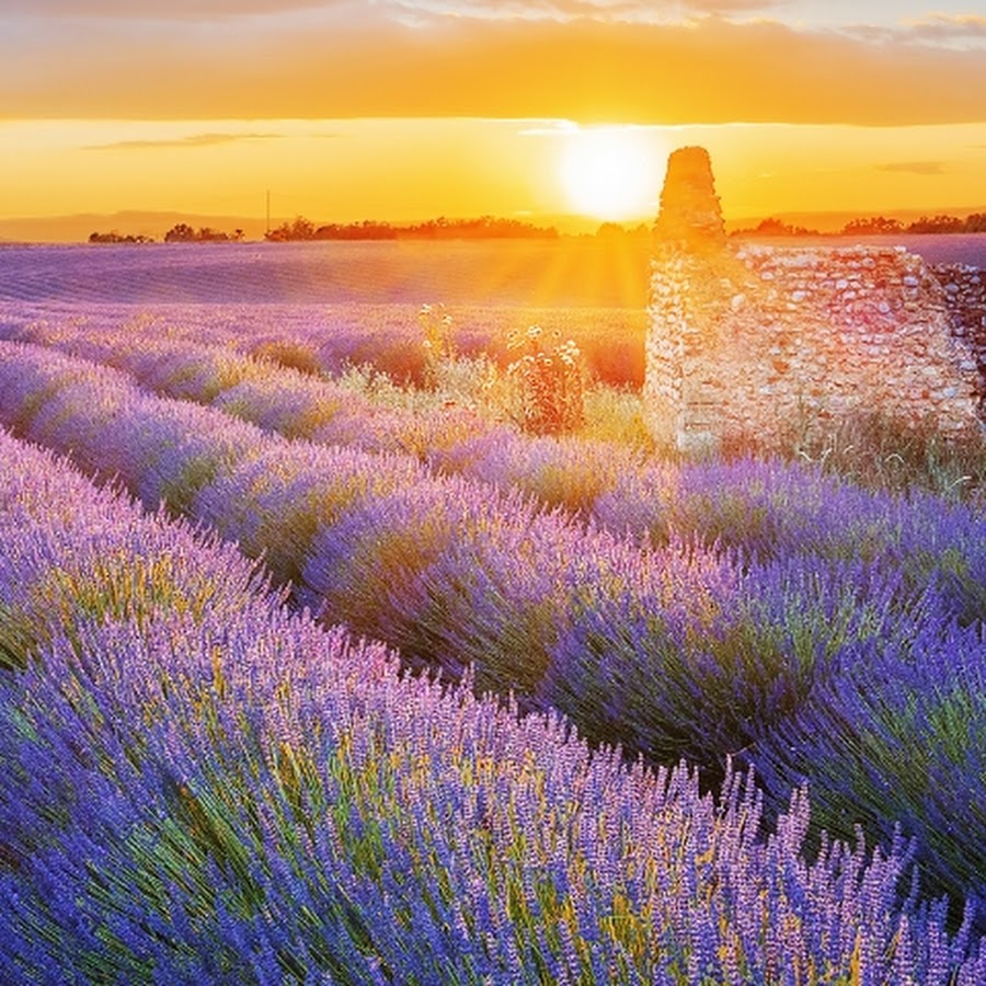 melanie hexe - YouTube