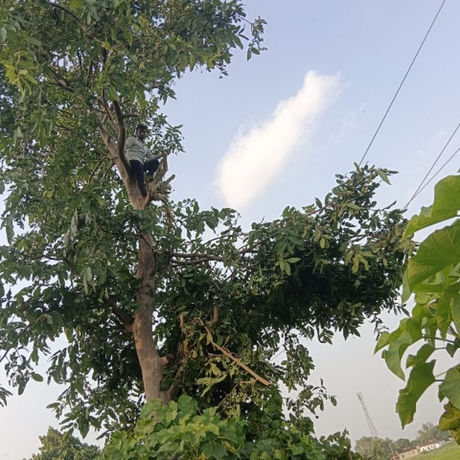 status fire 🔥lĺ - YouTube