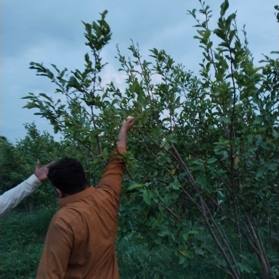 zain sadaqat - YouTube