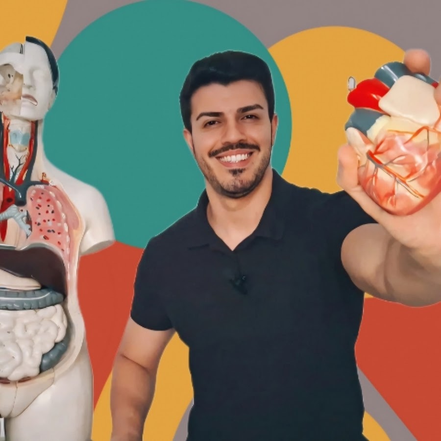 Aprendendo Anatomia - YouTube
