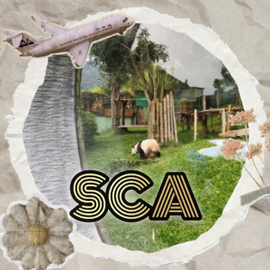 Sticky Cartoon Art (SCA) - YouTube