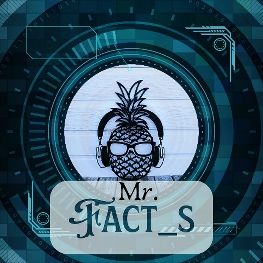 Mr. Fact_s - YouTube