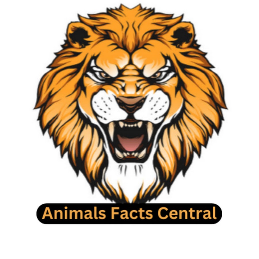 Animals Facts Central - YouTube