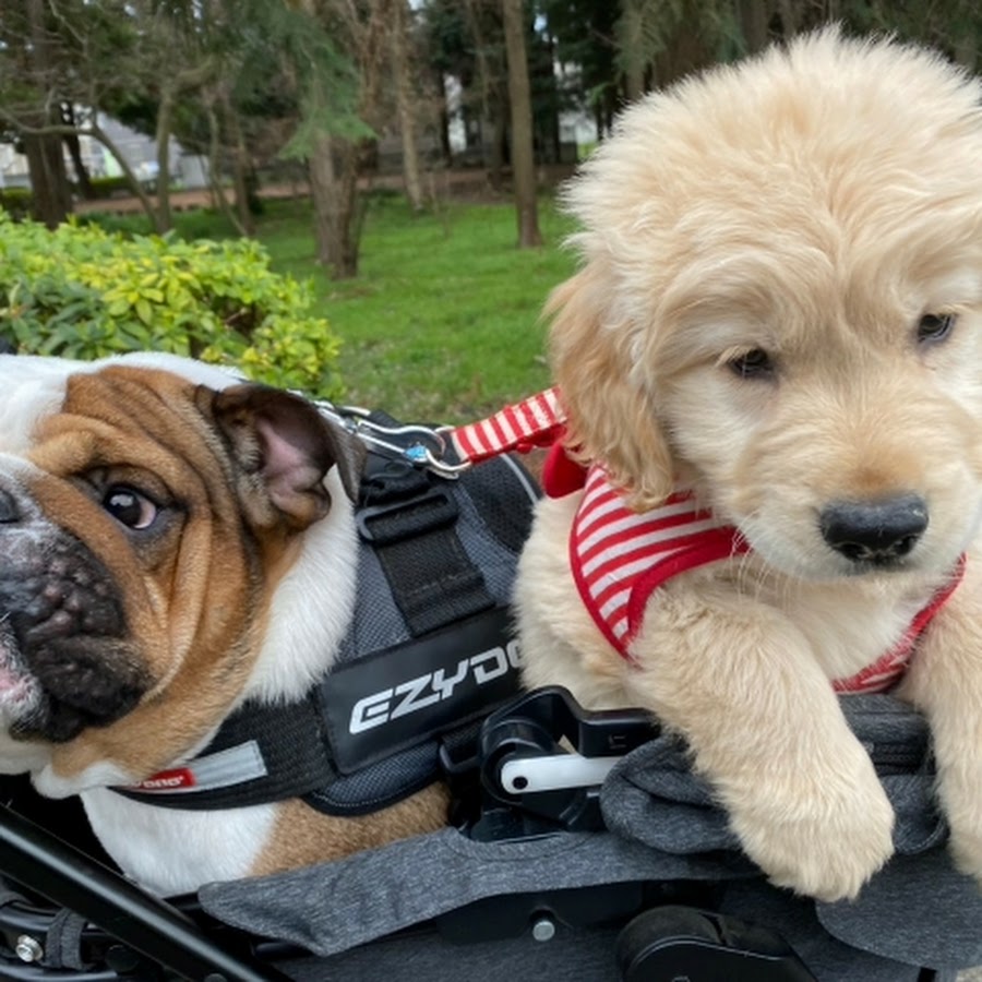 ひでぃ0630 - YouTube