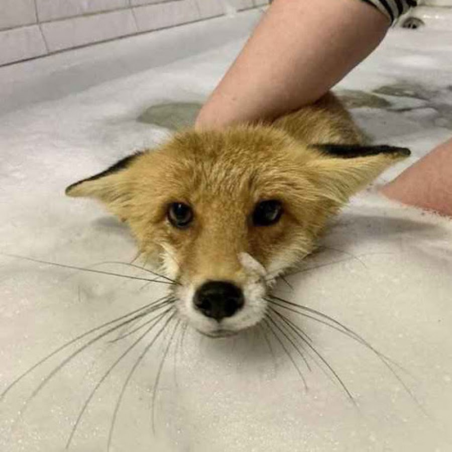 Clockwork Tech - YouTube