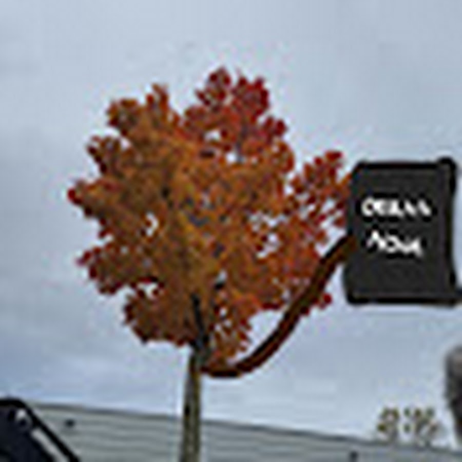 Animating tree💥 - YouTube