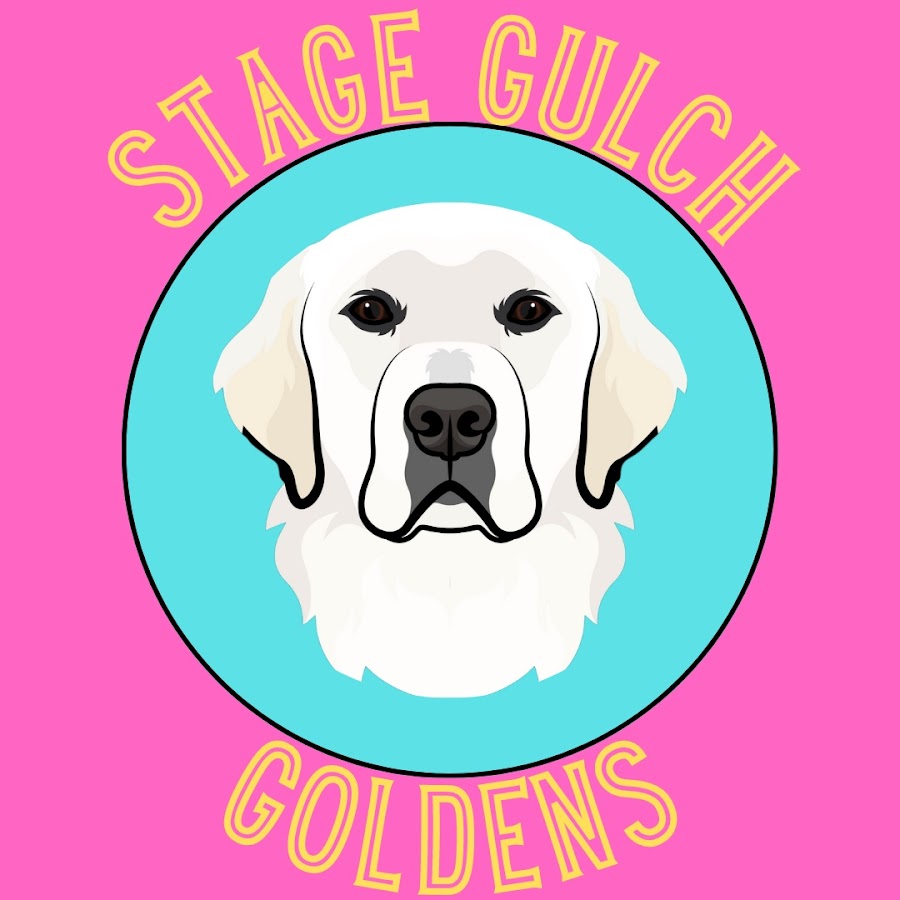 Stage Gulch Goldens - YouTube Stage Gulch Goldens - YouTube