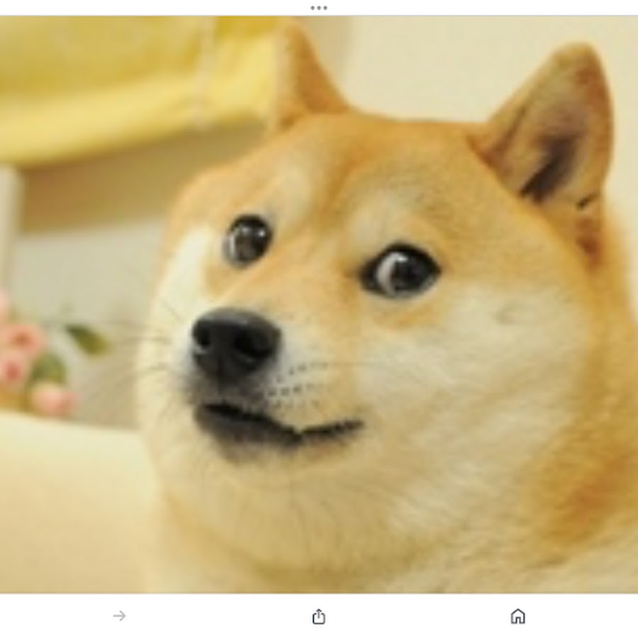 Mr doge edits - YouTube