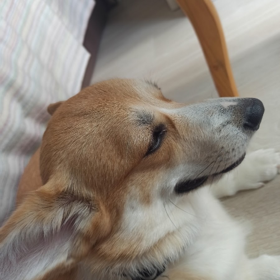 vup_ sergj82 - YouTube