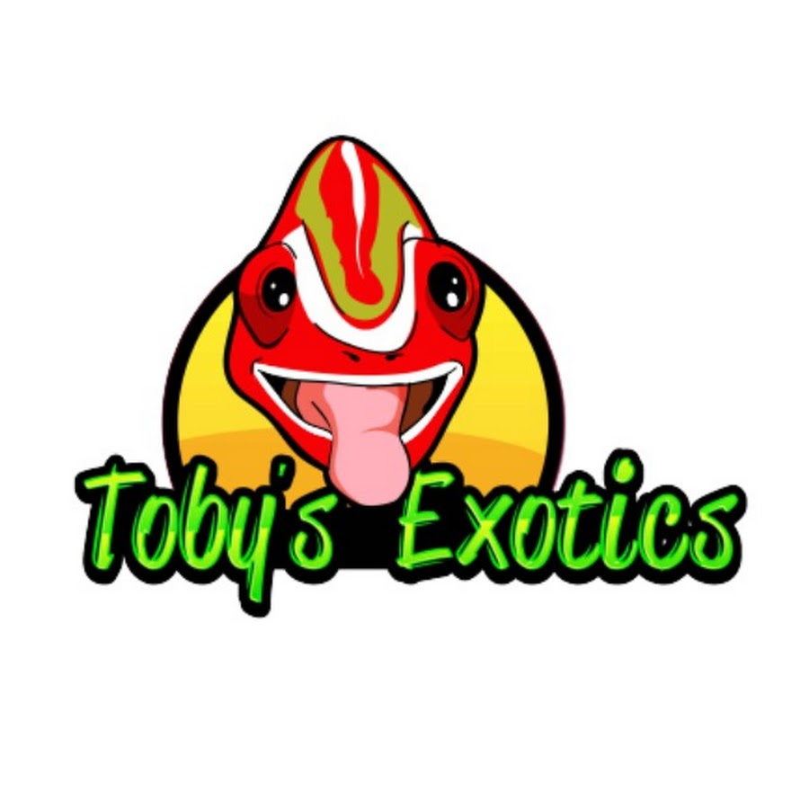 Tobys Exotics Youtube