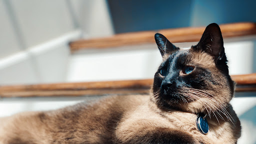 Jessica Kaylee - Similar YouTube channels and user reviews