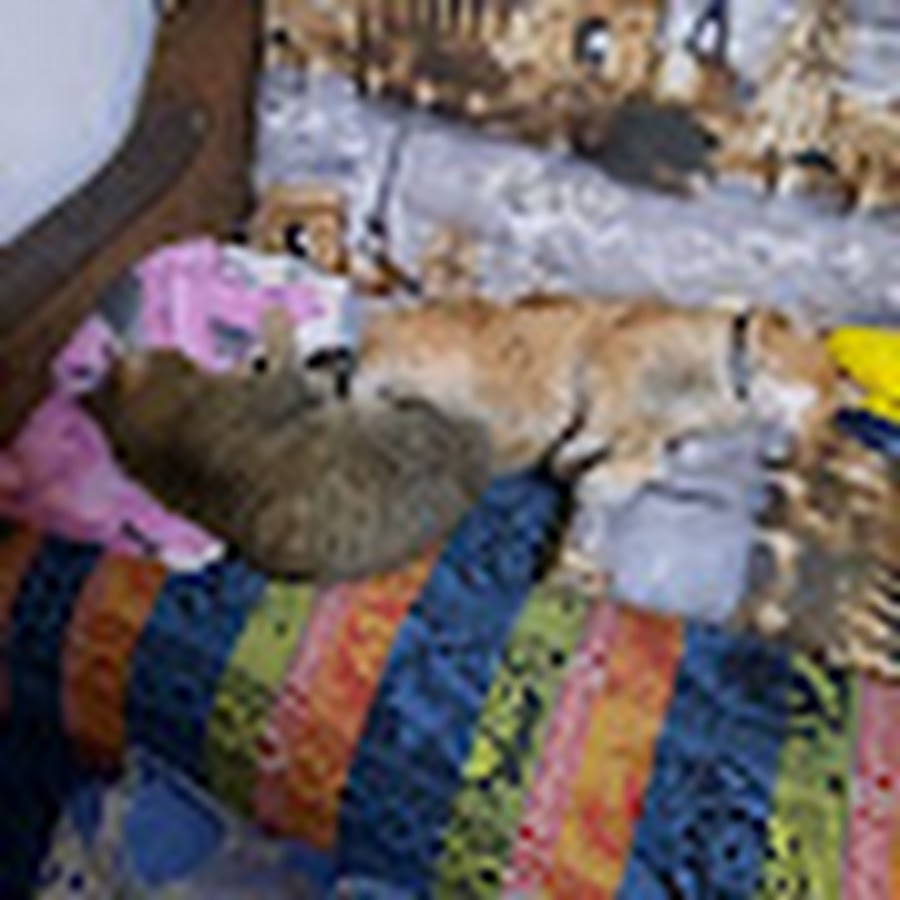 YouTube Mania - YouTube