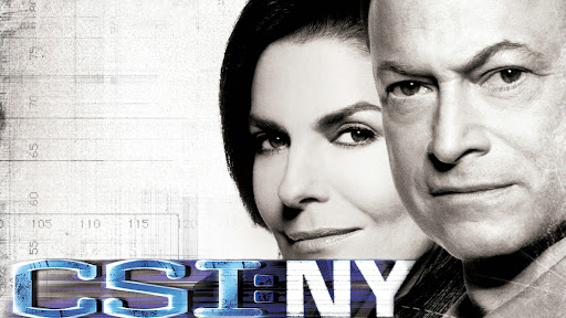 CSI: NY // Stella Bonasera &nd Mac Taylor [Stelliciouss] - YouTube