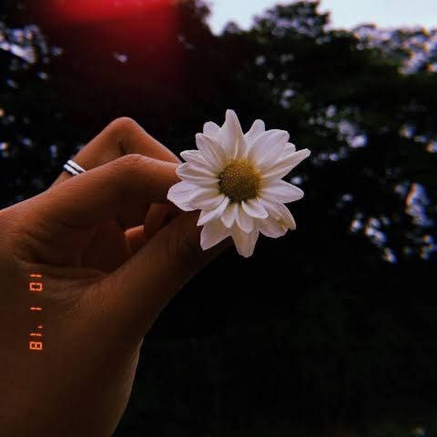 Mst Sopna Khatun - YouTube