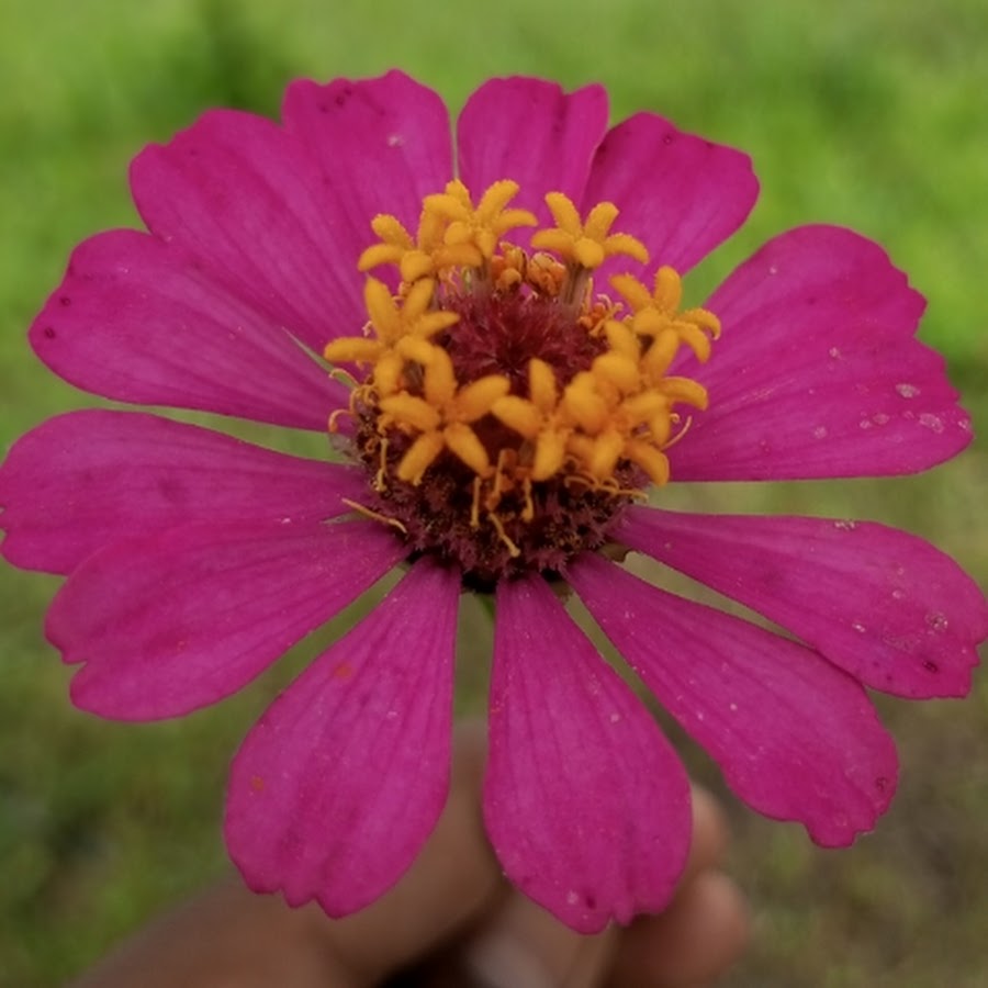 Avinash Davane - YouTube