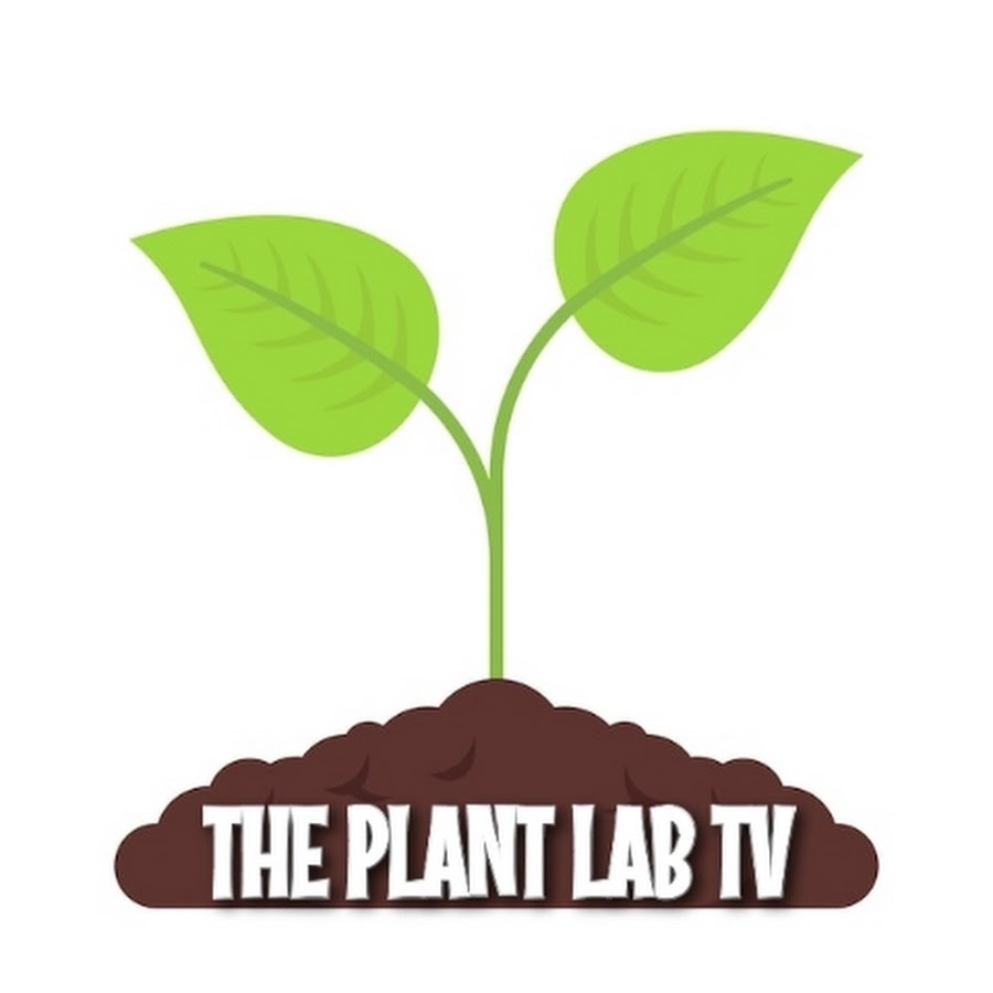 The Plant Lab Tv - YouTube The Plant Lab Tv - YouTube
