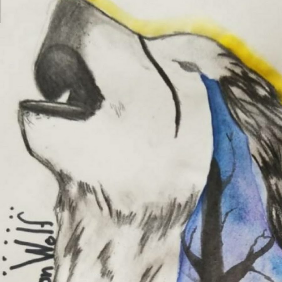 Carson Wolf - YouTube