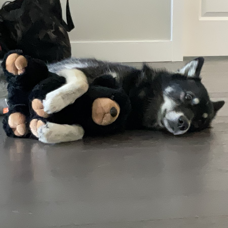 Little Ccub - YouTube