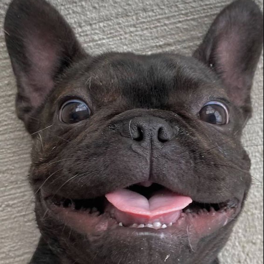 L O G A N ☆ - YouTube