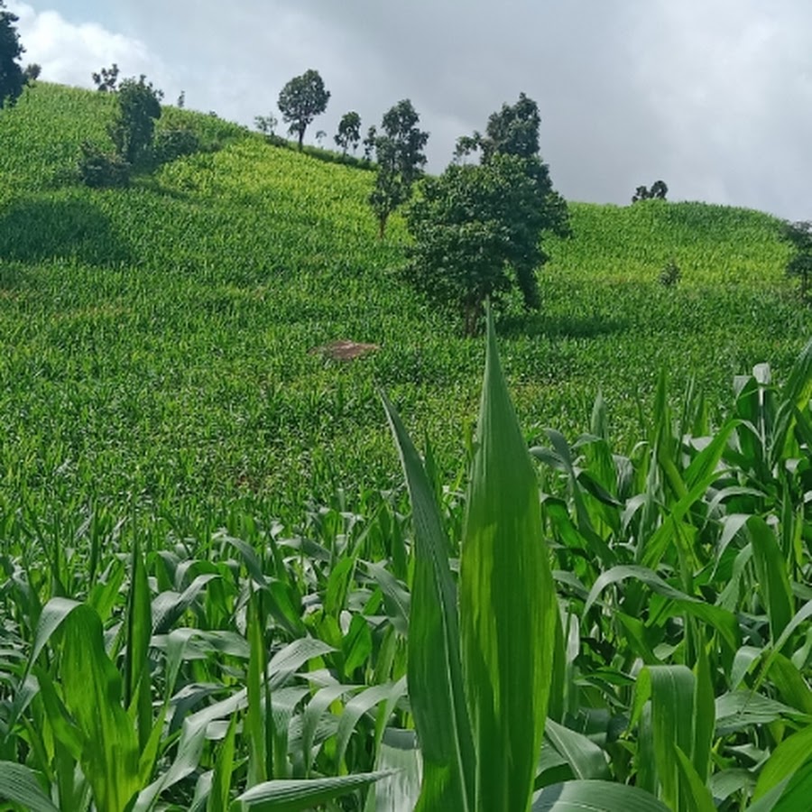 Nay Tun 2d.3d - YouTube