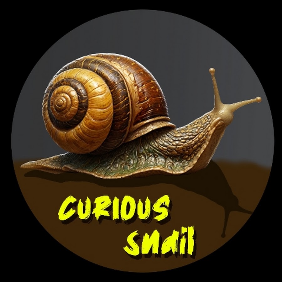 curious snail - YouTube