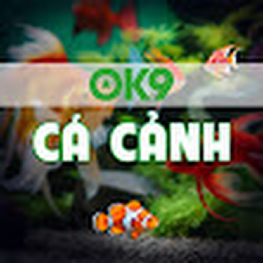 OK9 CÁ CẢNH - YouTube