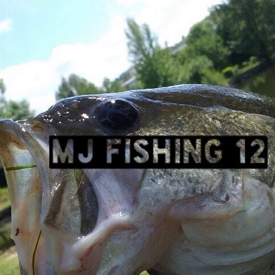 AGIKgqO2MJREFU9uB0GfibgxCqhRVcZJvs0gYMYXekGH=s900-c-k-c0x00ffffff-no-rj