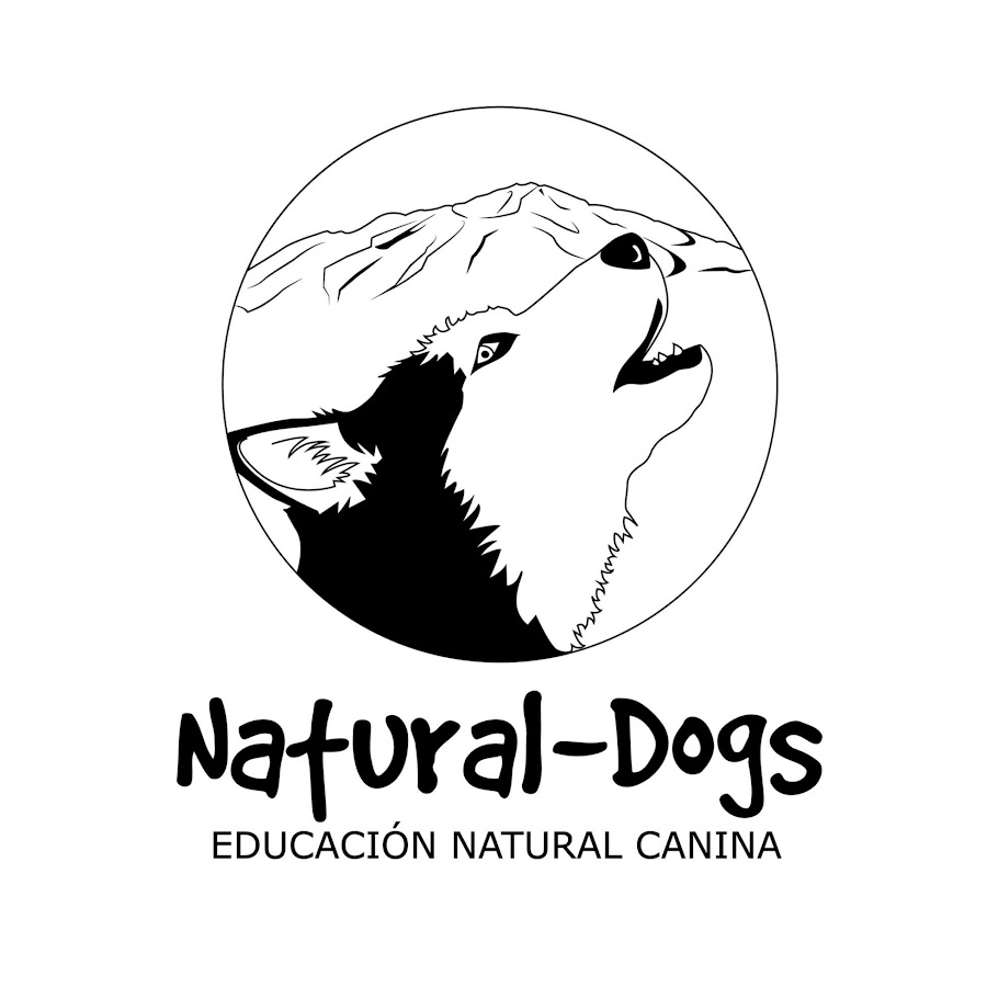 AGIKgqP8zVdfoWmCmMWhtRA4O0WMHarWoabvJzgsjlsc=s900-c-k-c0x00ffffff-no-rj