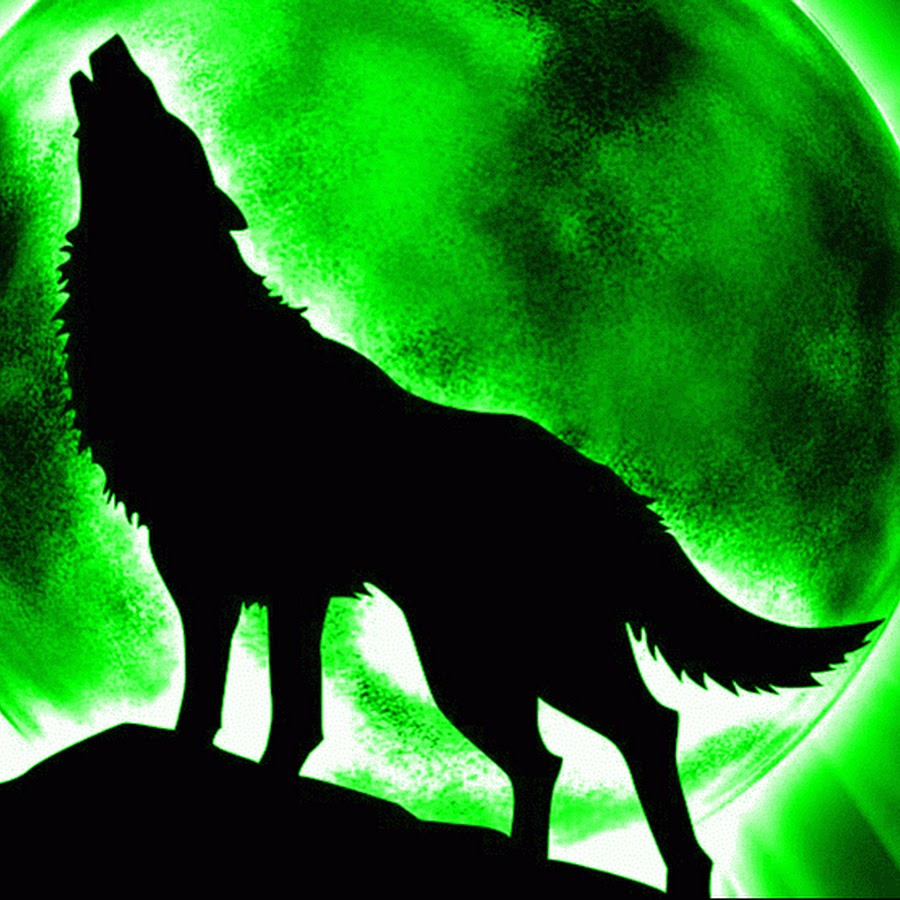 AGIKgqPu-9NECrJ0bAC3UhQu3EPOYcM2mPy7bg1kRcC4=s900-c-k-c0x00ffffff-no-rj