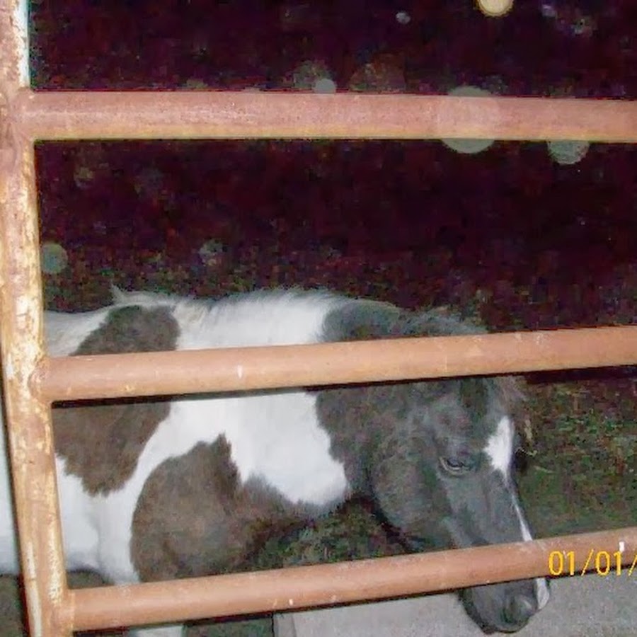 Kylie Butler - YouTube