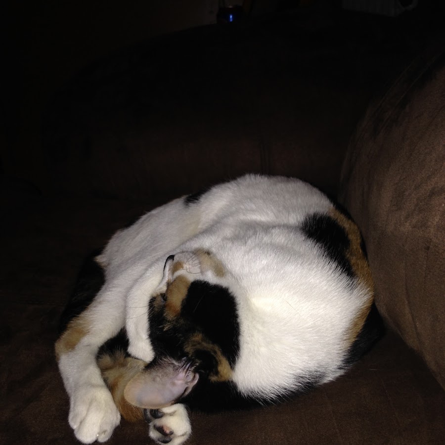 The Lego Channel - YouTube