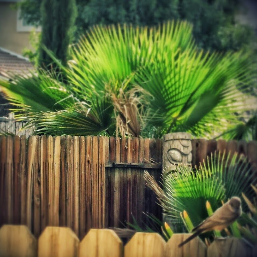 Matthew Banks - YouTube