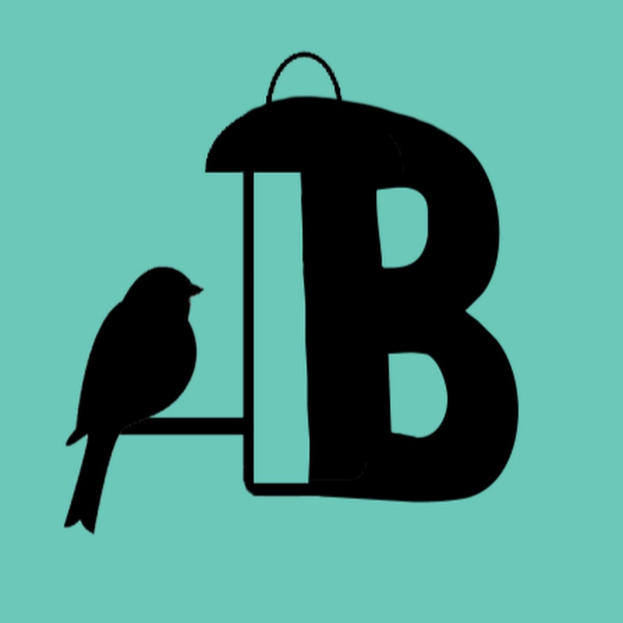 Bird Feeder Hub Youtube