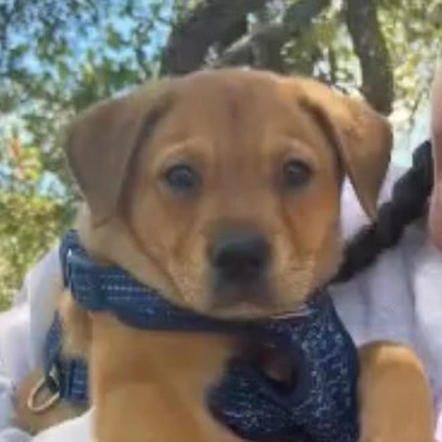 imsocool_inreallife - YouTube