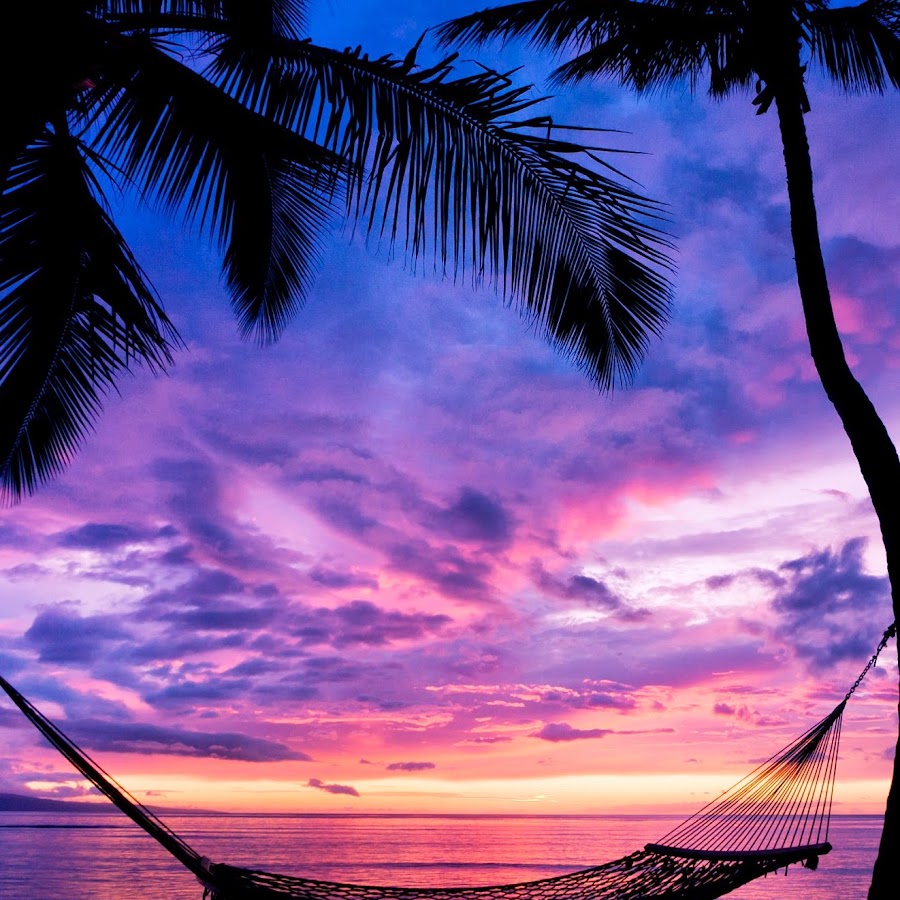 Todd Davis - YouTube