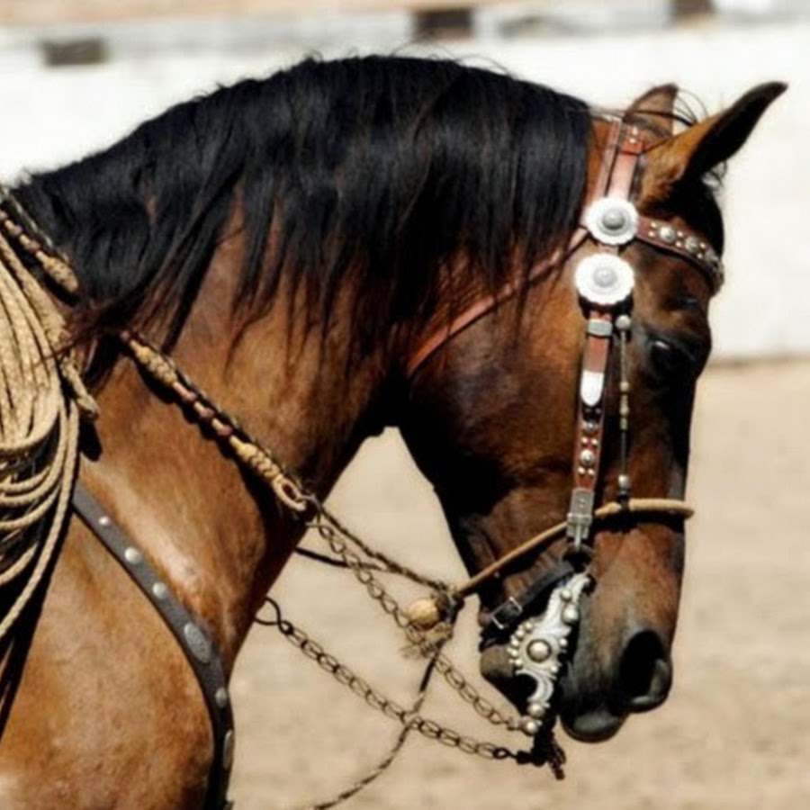 Bruce Sandifer - YouTube