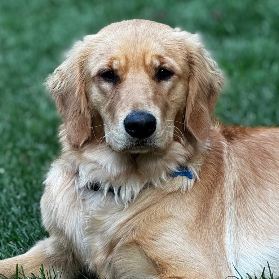 Kevin Cornett - YouTube