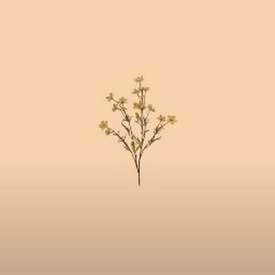 PRIMADONA RUPSI - YouTube