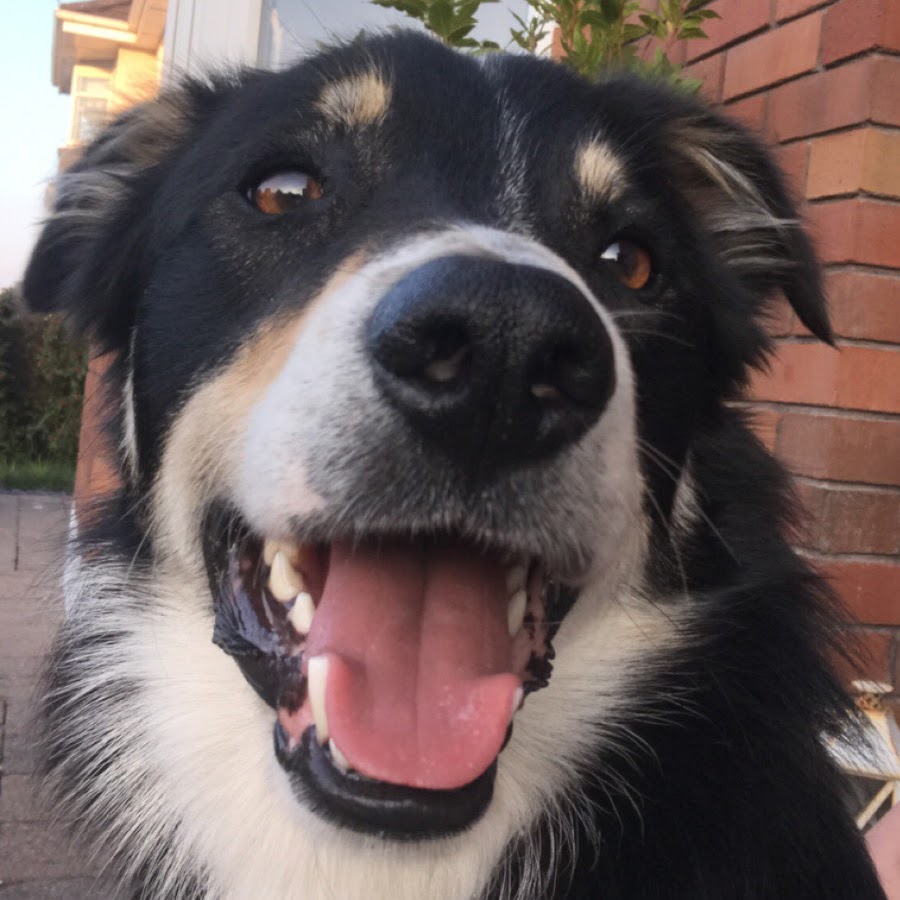 Ella Buckley - YouTube