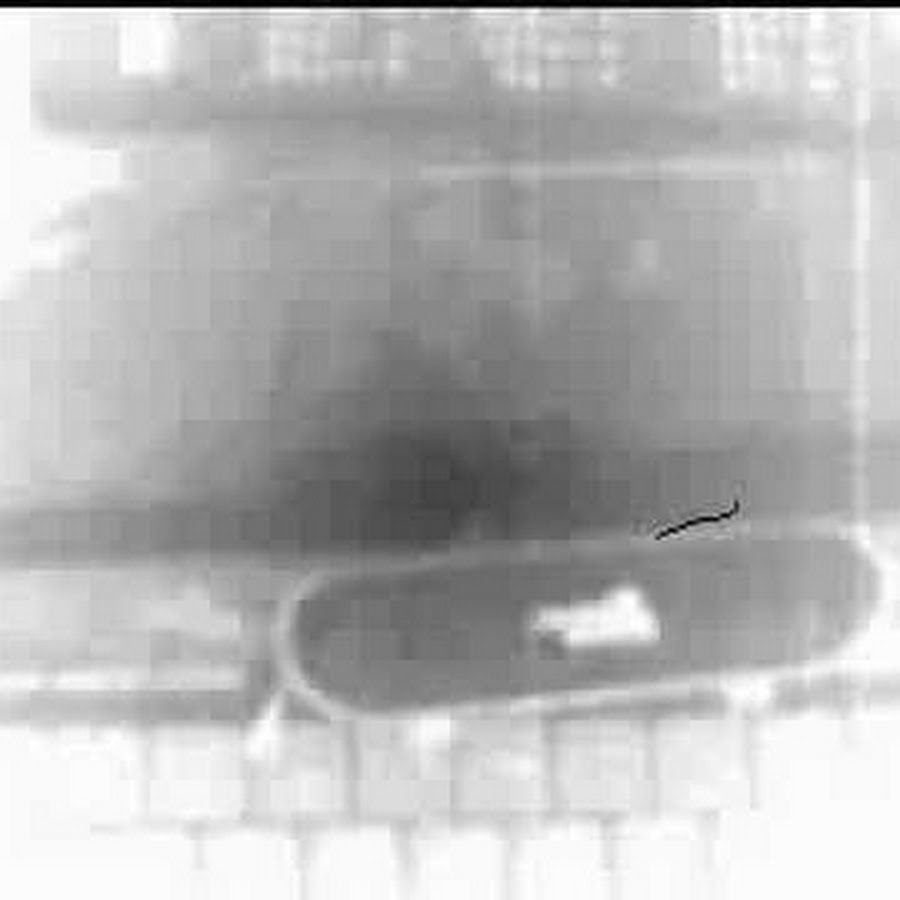 andy ojeda - YouTube